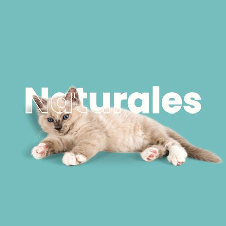 Snacks naturales para gatos | Tienda Online Kanu Pet
