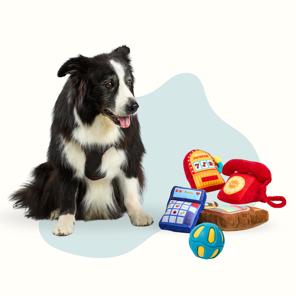 Productos para Perros | Tienda Online Kanu Pet – Page 14