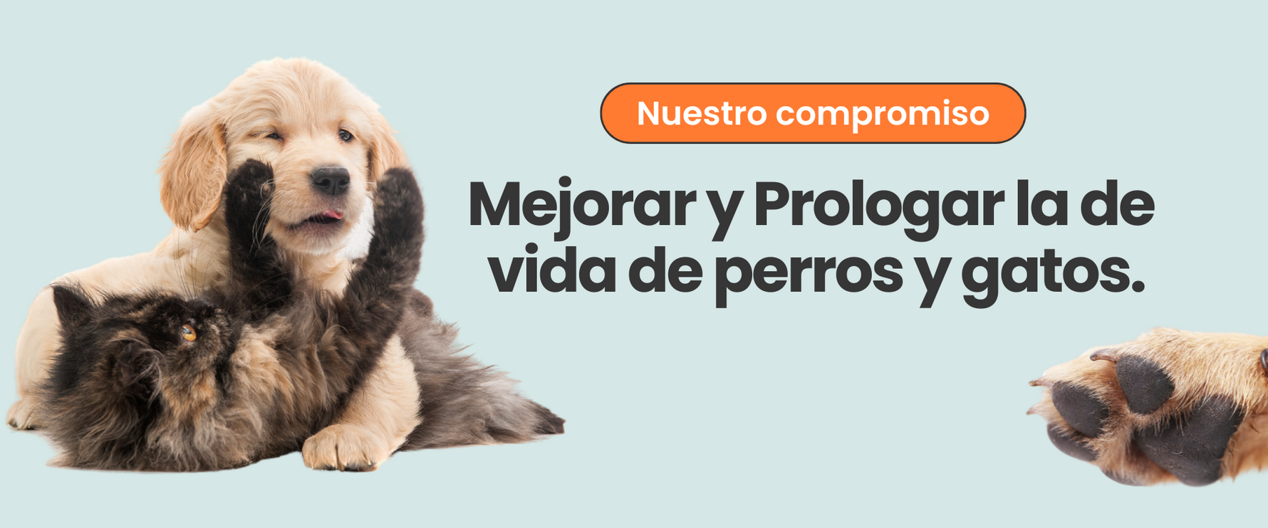 Sobre Nosotros | Kanu Pet - Cuidar a Quien Más Te Ama: Tu Mascota