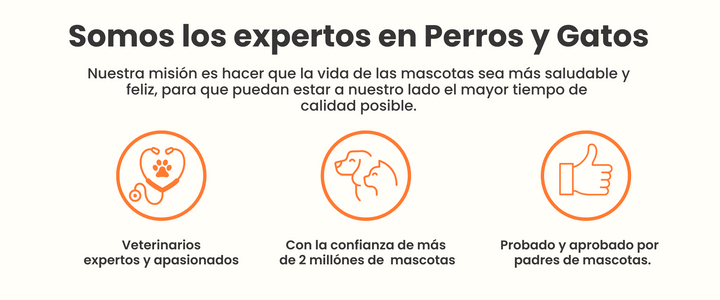 Sobre Nosotros | Kanu Pet - Cuidar a Quien Más Te Ama: Tu Mascota