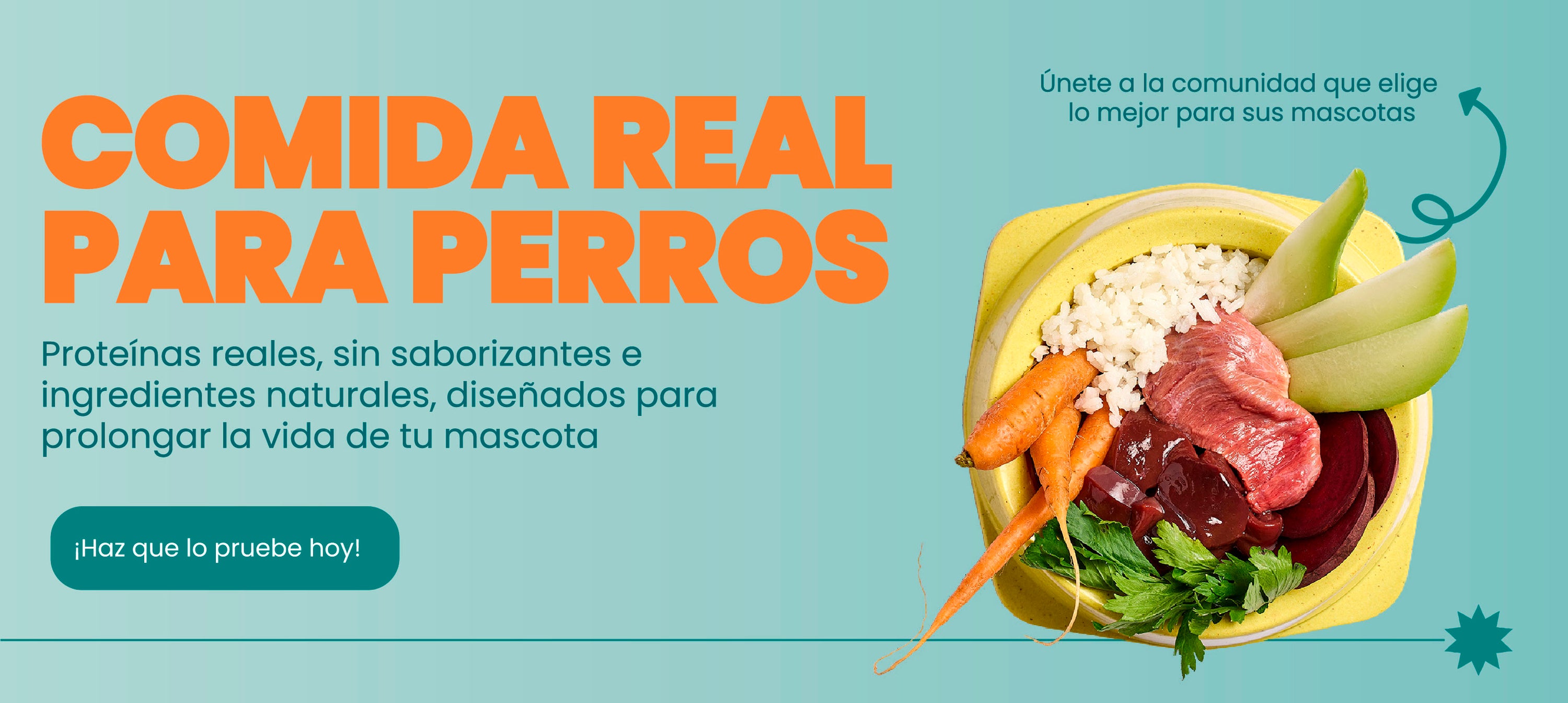 Kanu Pet – Kanu Pet