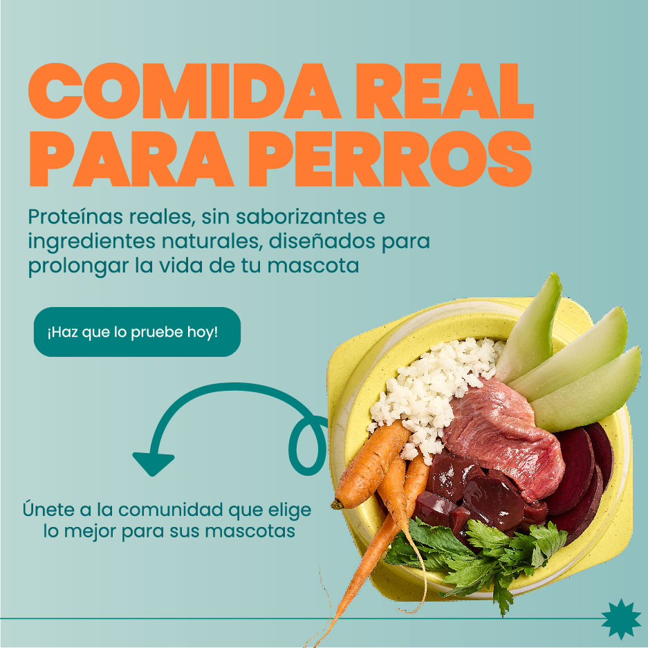 Kanu Pet – Kanu Pet